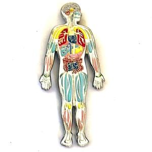 Anatomology | Jewelry | Body Pin Science Pin Lapel Pin Medical Pin ...
